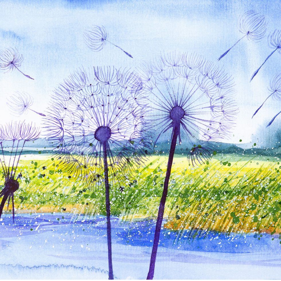 Home - HeartLight Center